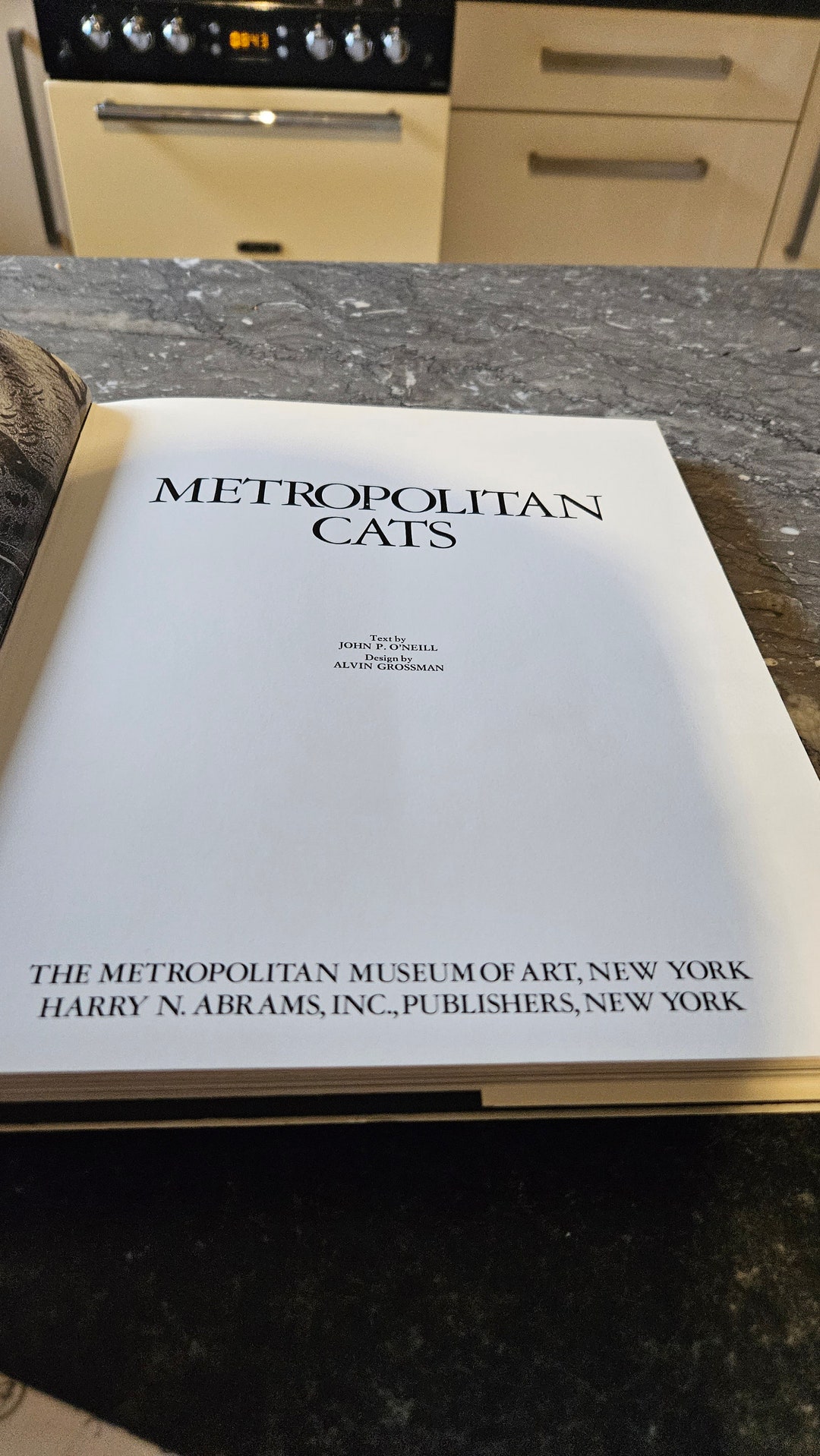 Vintage Book Metropolitan Cats John O'neill Cats in the Art Museum of ...