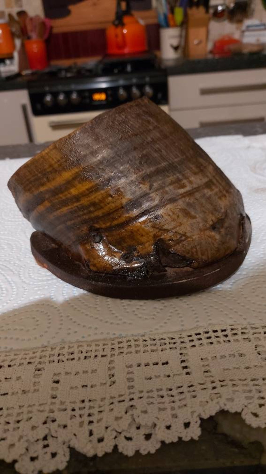 Vintage Horse Hoof Equine Hoof Education Piece Trainee Vet or - Etsy