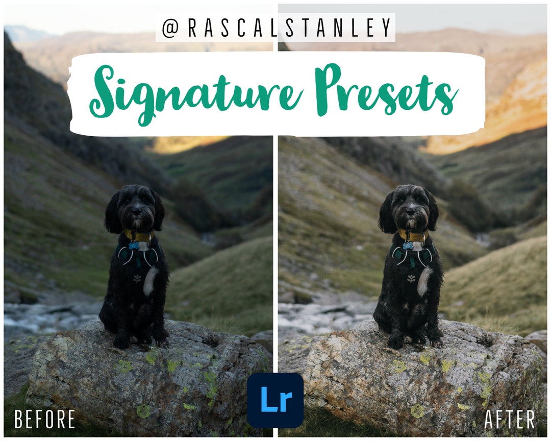 Signature Preset Pack by @rascalstanley - Etsy