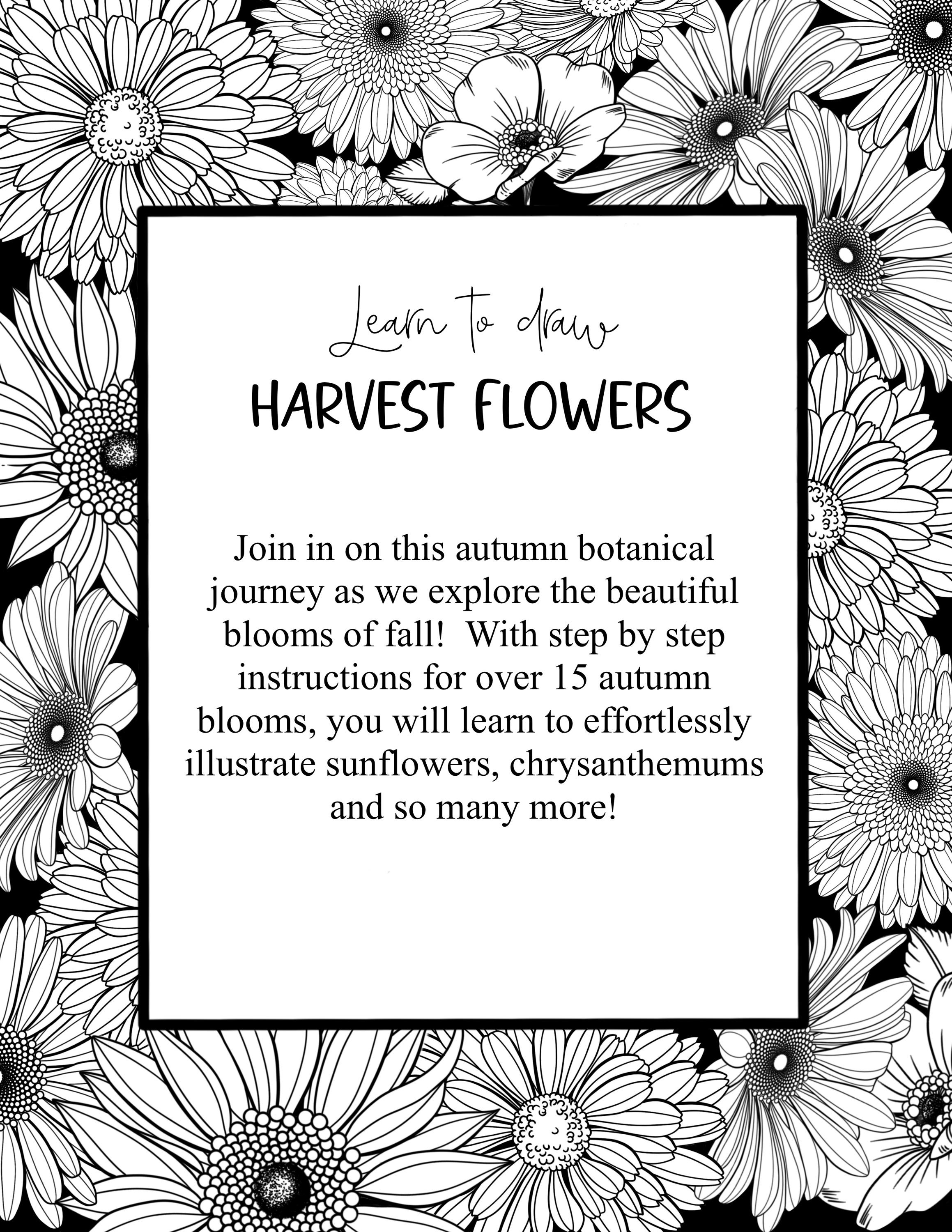 Learn to Draw Harvest Flowers - Etsy