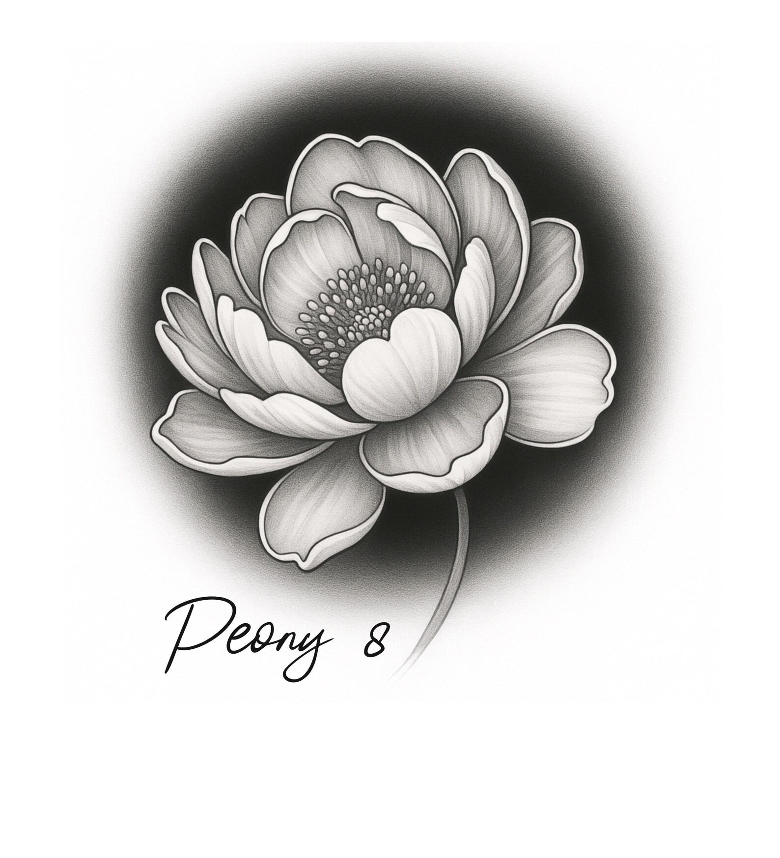 Learn to Draw Peonies - Etsy