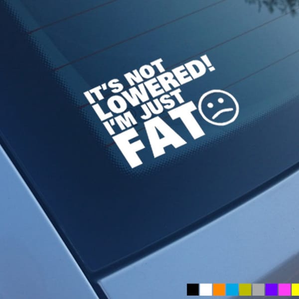 Car Stickers Funny - Etsy