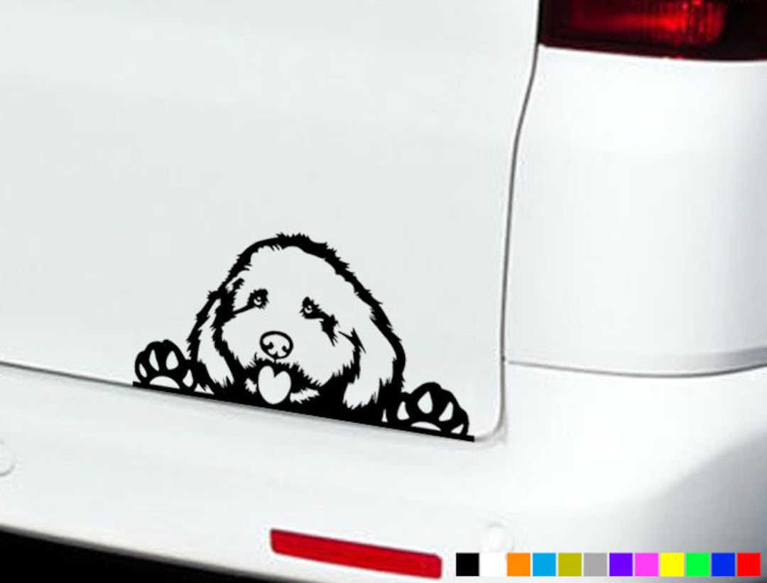 COCKAPOO DOG Car Sticker Decal Vinyl Bumper Window Funny Novelty - Etsy