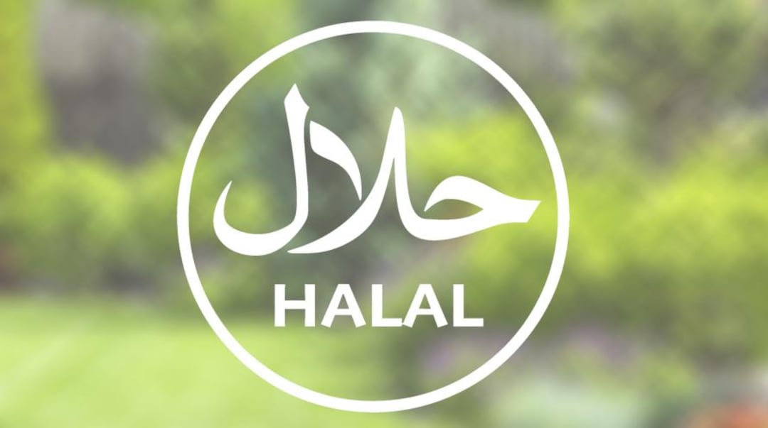 HALAL WINDOW STICKERS Food Cafe Restaurant Takeaway Vinyl Decals - Etsy