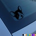 FRENCH BULLDOG V2 Car Sticker Decal Vinyl Bumper Window Funny Dog ...