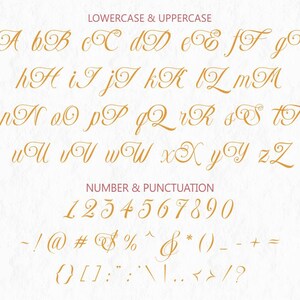 Monaveen Luxia Luxury Font Calligraphy Font Procreate - Etsy