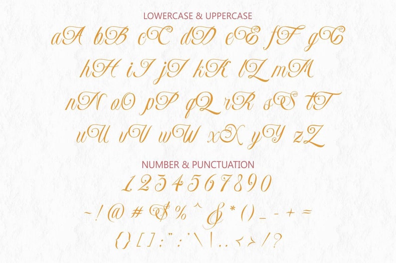 Monaveen Luxia Luxury Font Calligraphy Font Procreate | Etsy