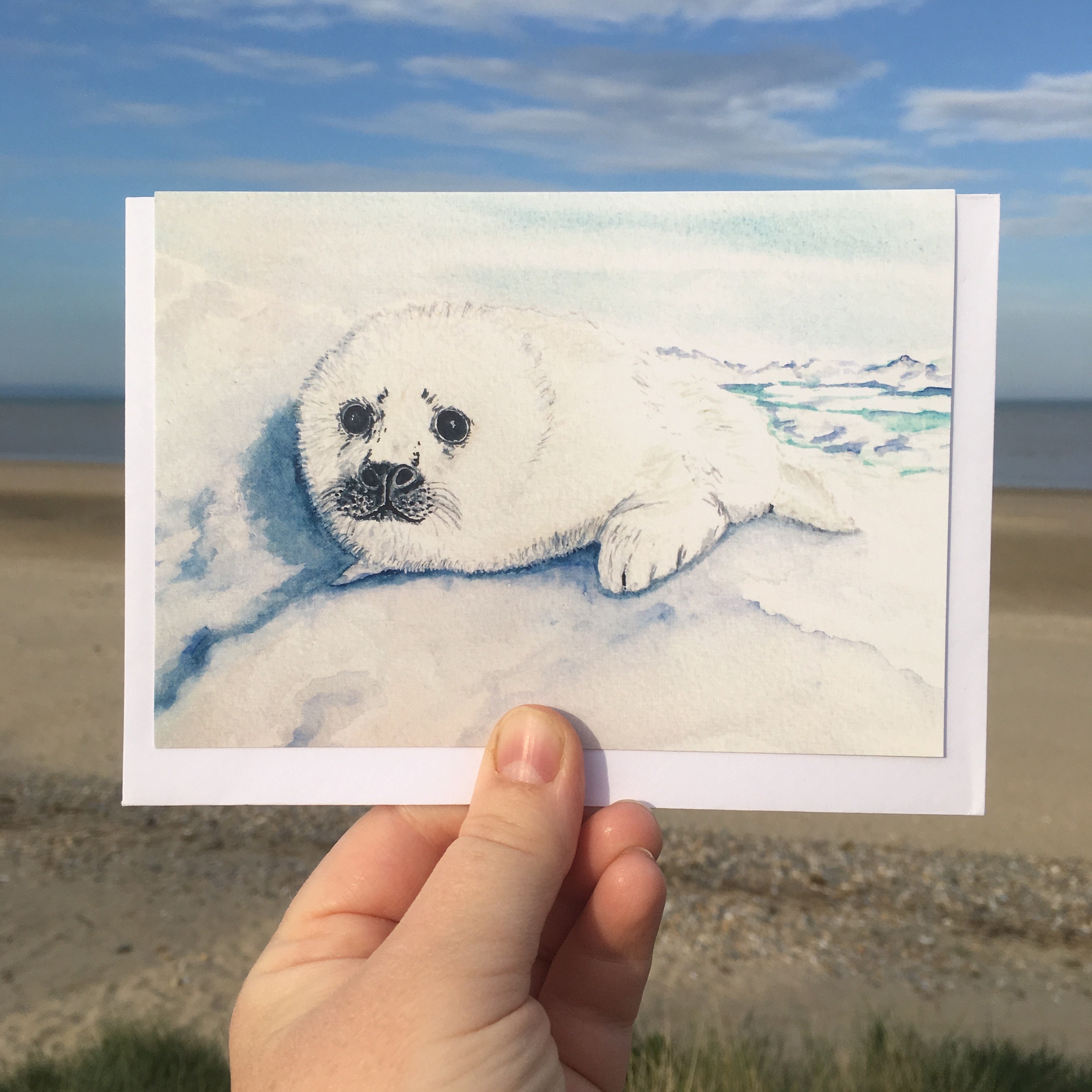Harp Seal - Art Greetings Card, Beach Card, Wildlife Card, Christmas ...