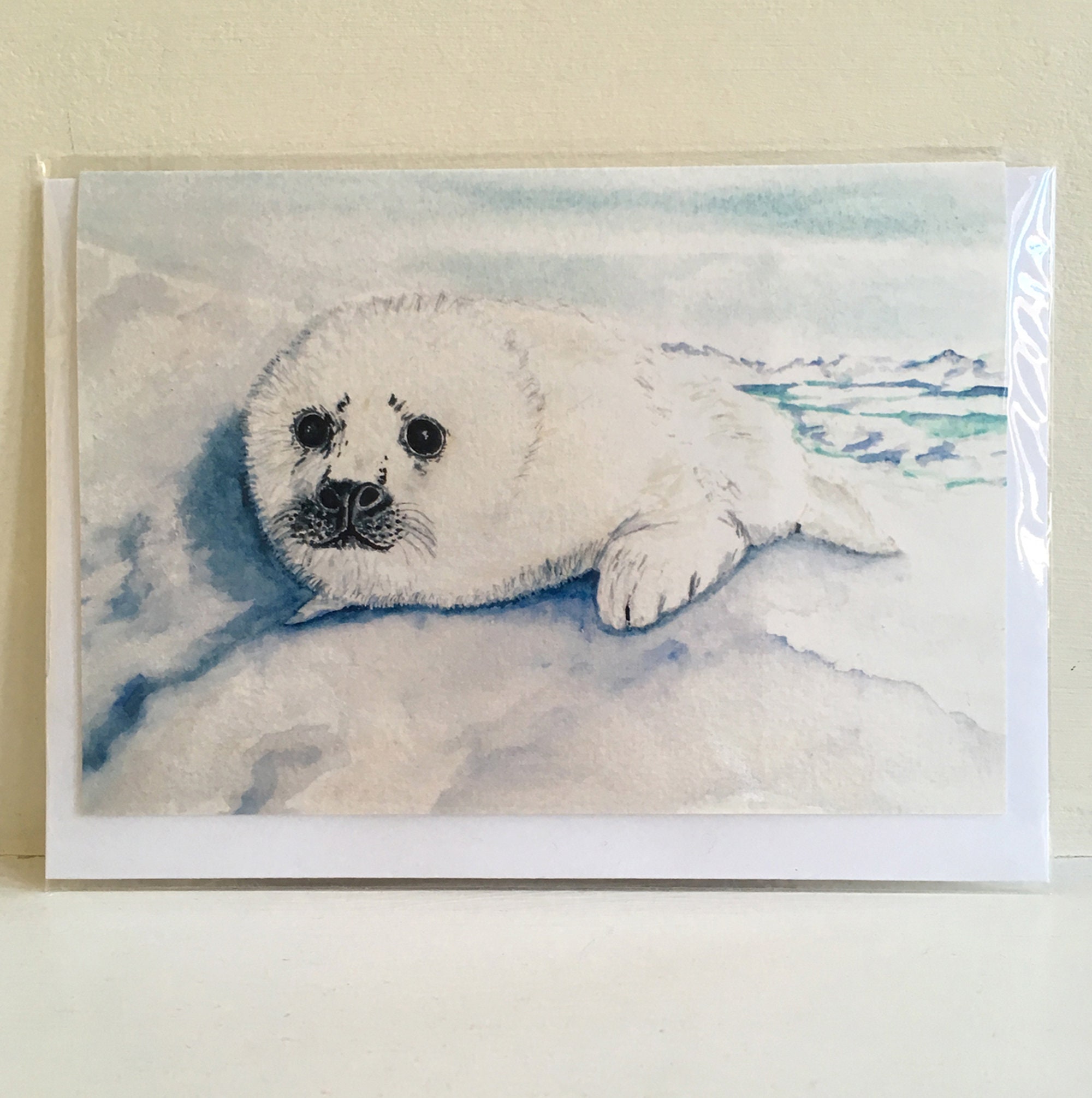 Harp Seal - Art Greetings Card, Beach Card, Wildlife Card, Christmas ...