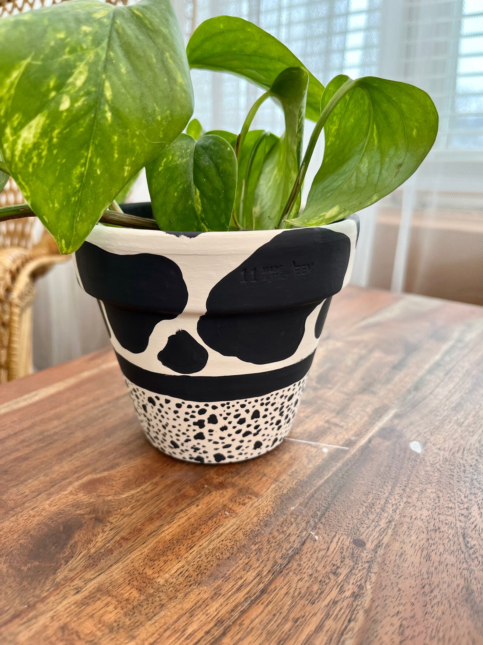 Cow Print Plant Pot, Dalmatian Print Pot, Animal Print Plant Pots ...