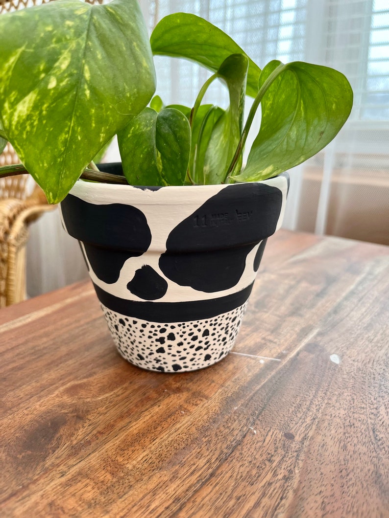 Cow Print Plant Pot, Dalmatian Print Pot, Animal Print Plant Pots ...