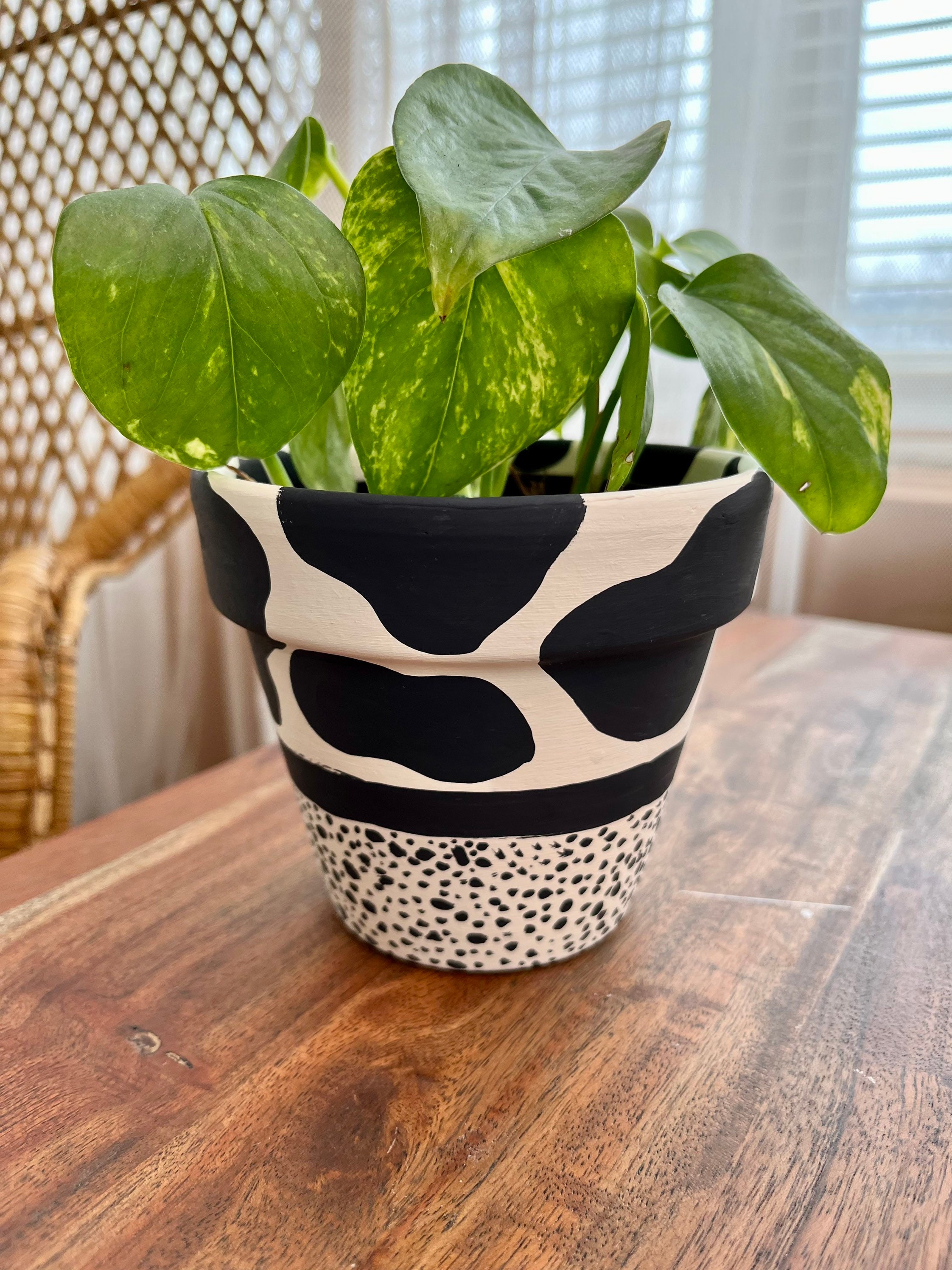 Cow Print Plant Pot, Dalmatian Print Pot, Animal Print Plant Pots ...