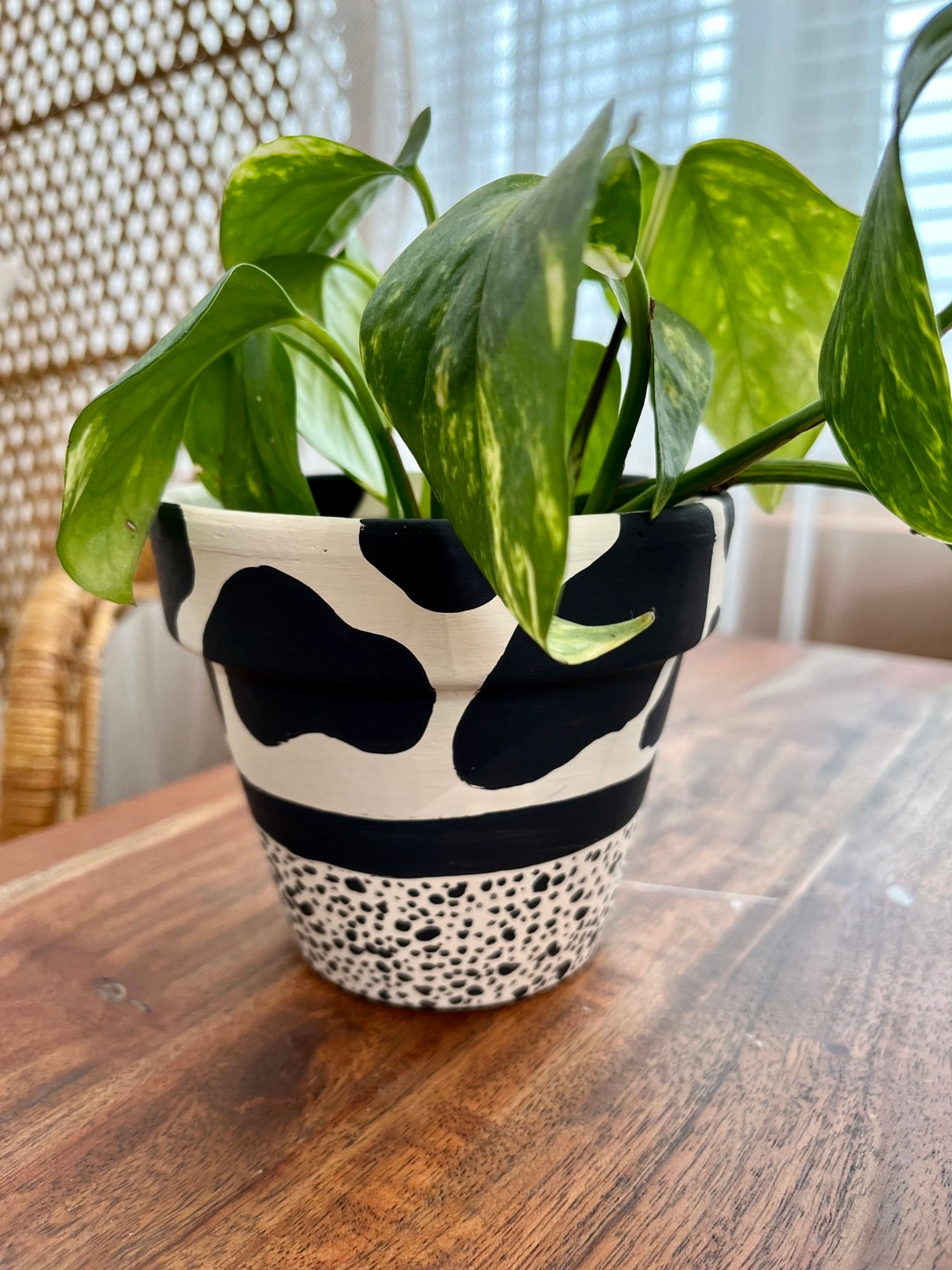 Cow Print Plant Pot, Dalmatian Print Pot, Animal Print Plant Pots ...