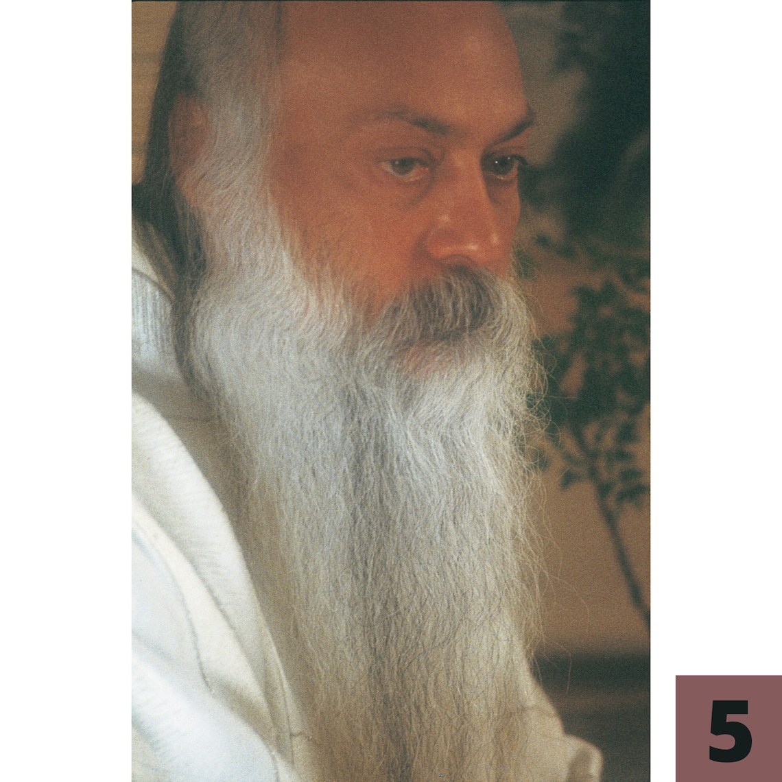 OSHO Full Resolution Digital Photo Download | High Quality Photos | Set ...