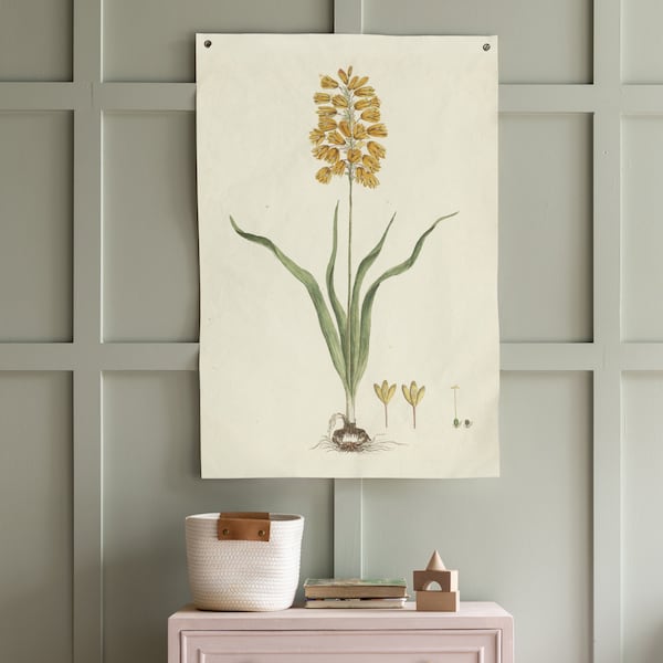 Botanical Canvas - Etsy