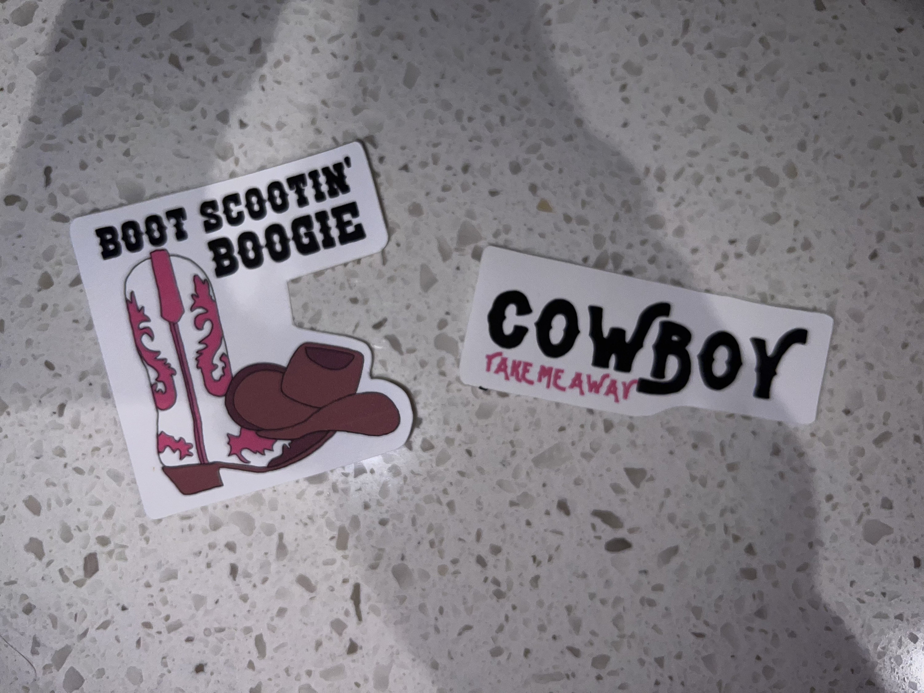 90s Country Sticker Pack - Etsy