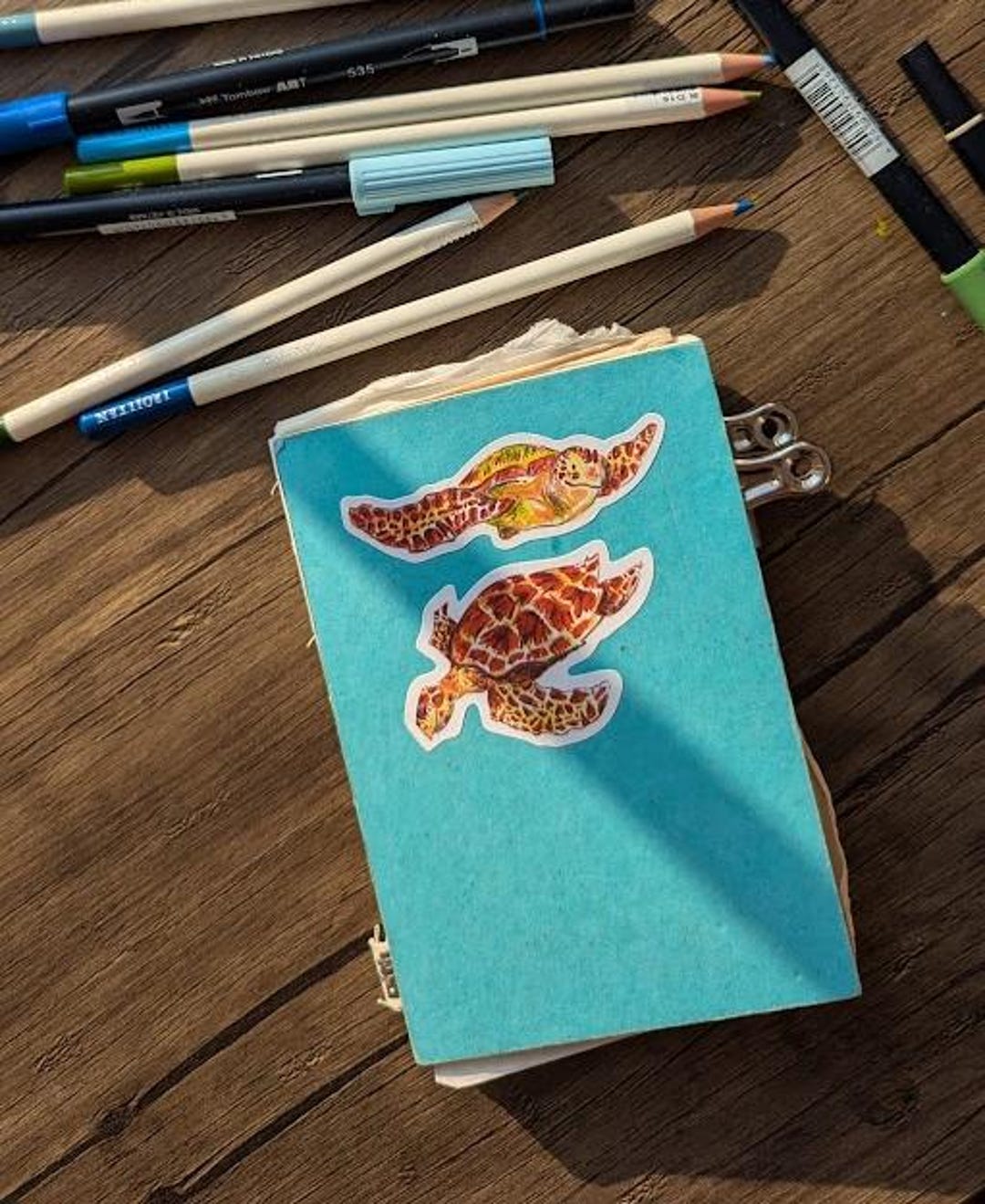 Set of Two Turtle Stickers | Green Turtle Sticker | Hawksbill Turtle ...