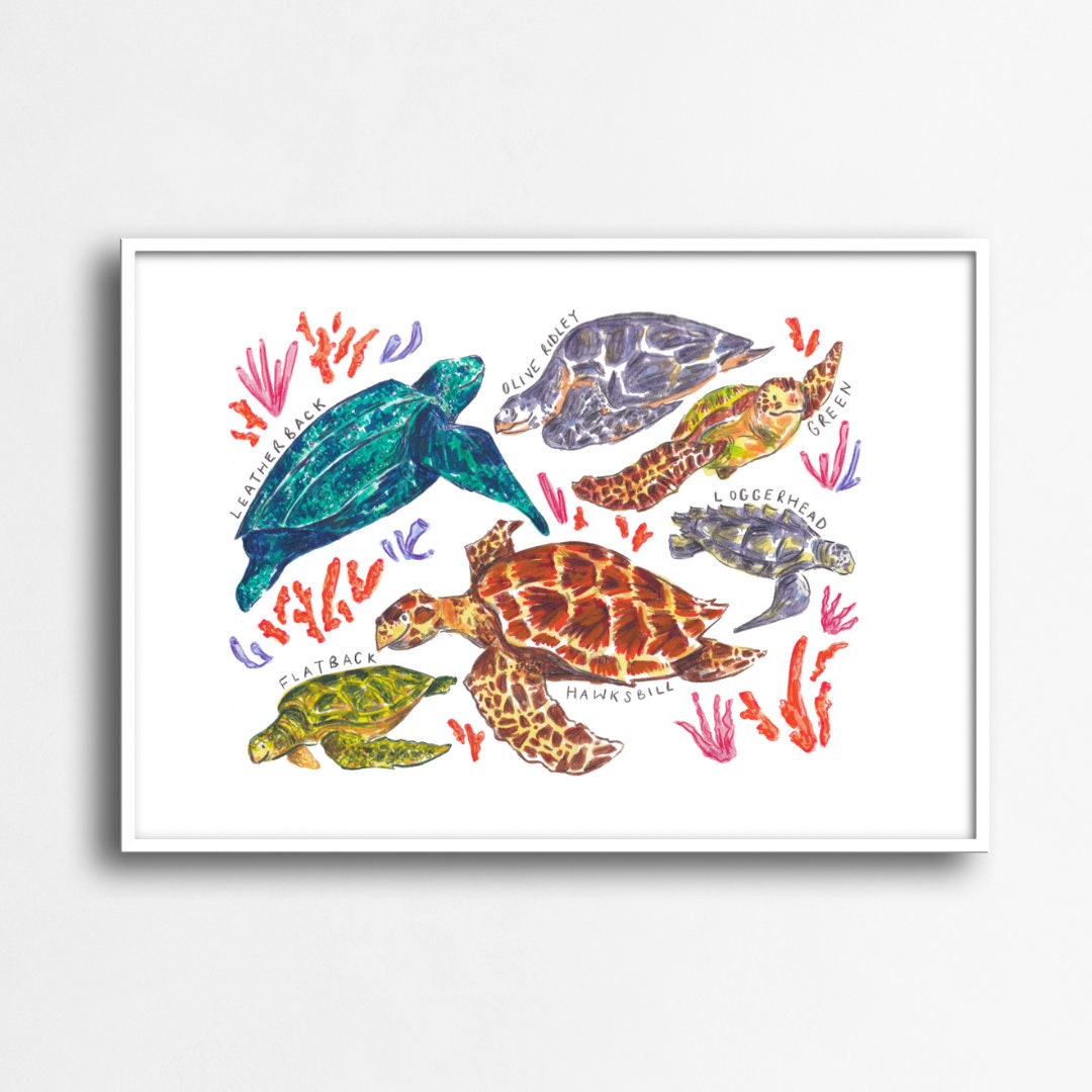 Turtle Art Print - Illustrated Turtle Artwork. Nursey Print | Nursery ...