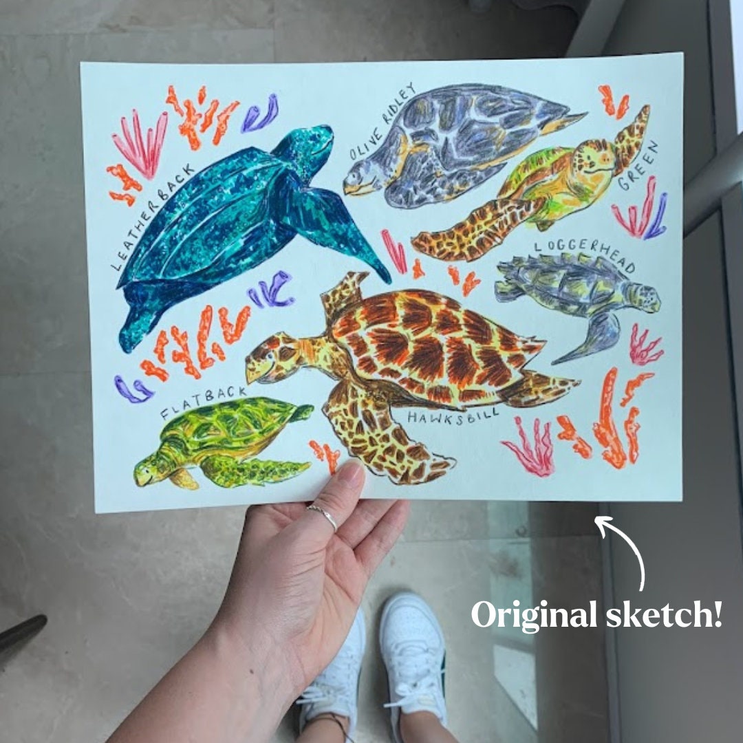 Turtle Art Print - Illustrated Turtle Artwork. Nursey Print | Nursery ...