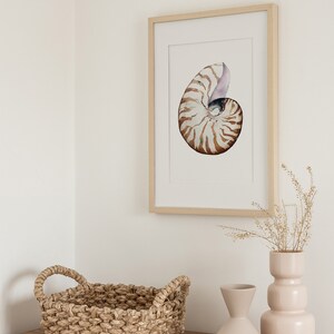 Nautilus Shell Art, Sea Shell Print, Watercolour Shell, Nautical Print ...