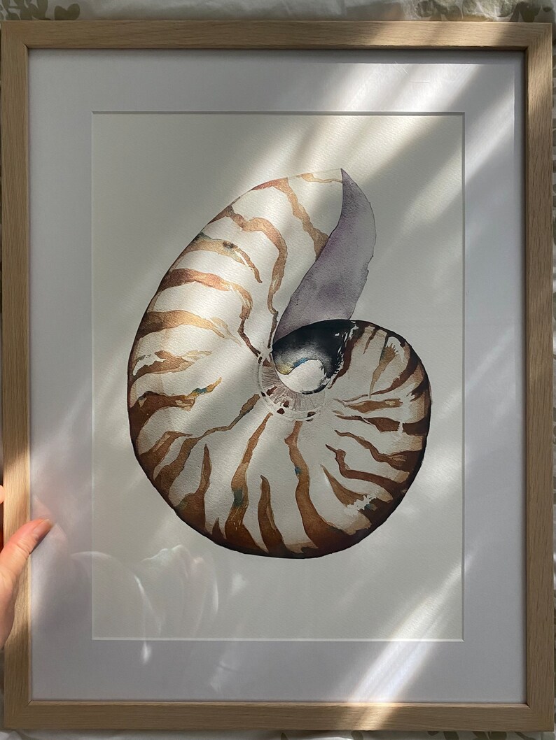Nautilus Shell Art, Sea Shell Print, Watercolour Shell, Nautical Print ...