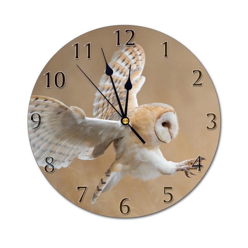 Owl Clock - Etsy