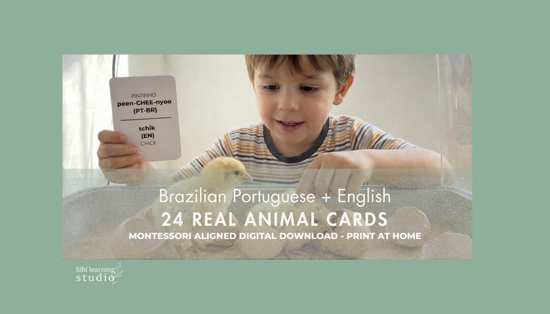 Bilingual Farm Animals Flashcards | Brazilian Portuguese, English ...