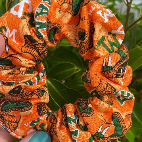 FAMU Keychain Florida A and M University Rattlers | Etsy