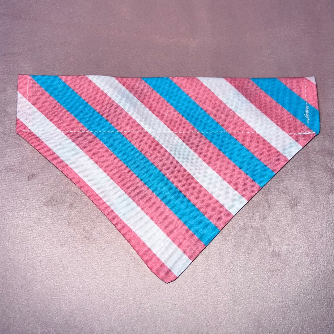 Trans Pride Flag Dog Collar Bandana - Etsy