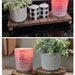 Candle Riser | Pedestal | Decorative Shelf | Wood Rustic Display ...