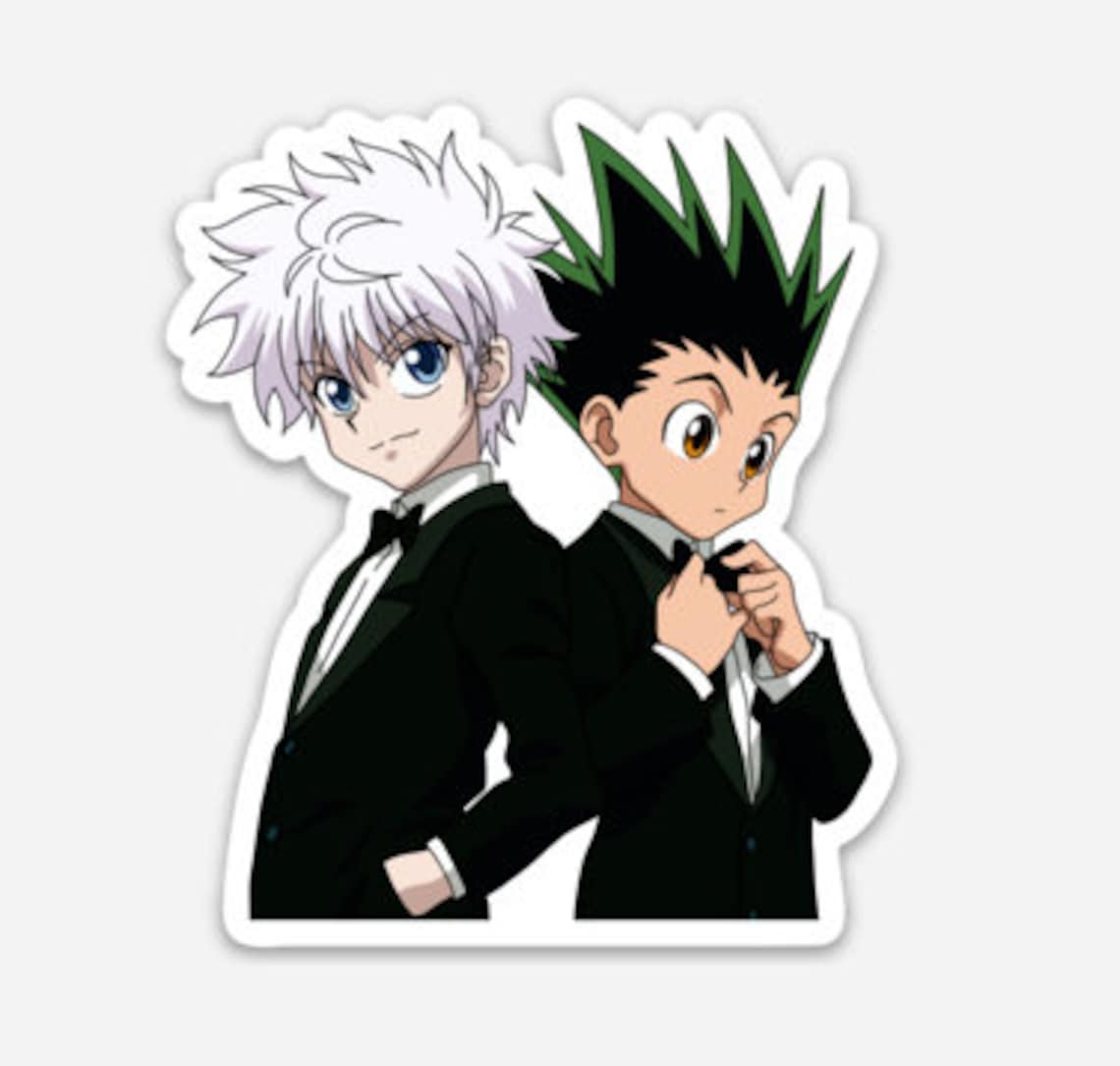 Vinyl Hunter X Hunter Sticker Hxh Gon And Killua Etsy