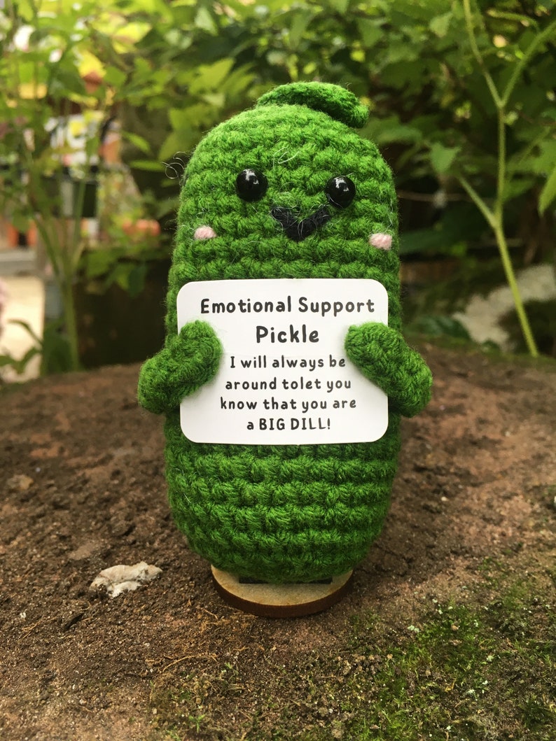 Emotional Support Pickle for Encouragement and Anxiety Relief, Handmade ...