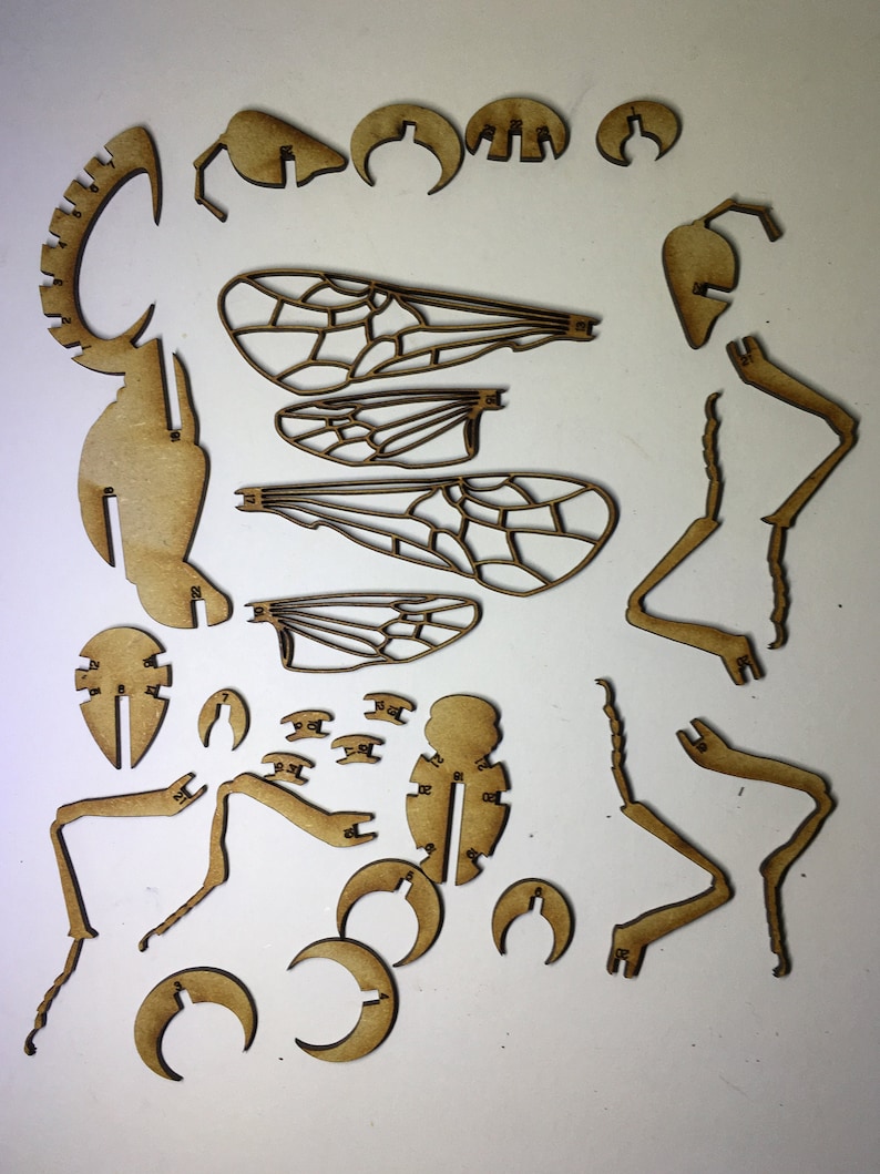 Bee Wasp Insect Craft Puzzle - Etsy