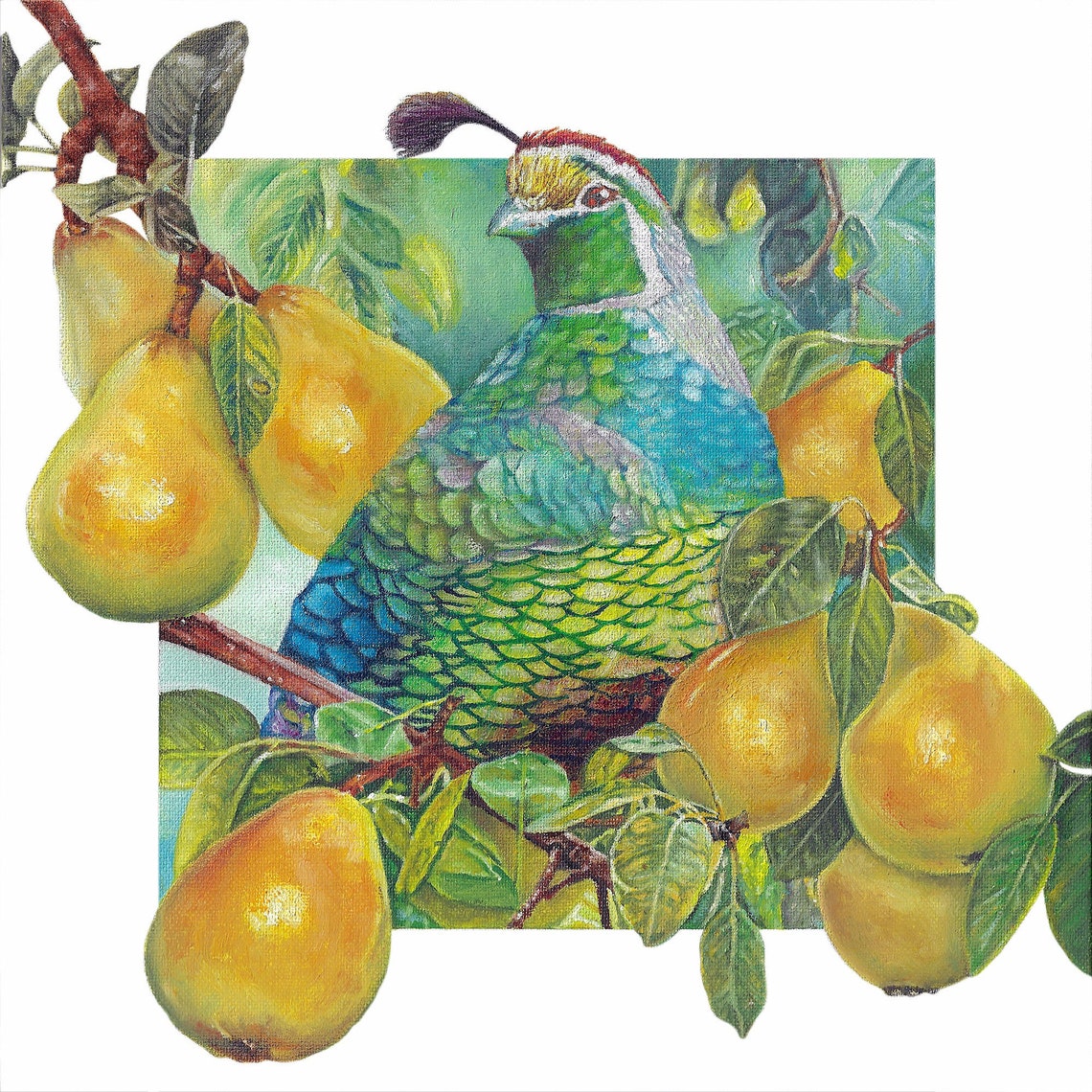 Partridge in a Pear Tree - Etsy