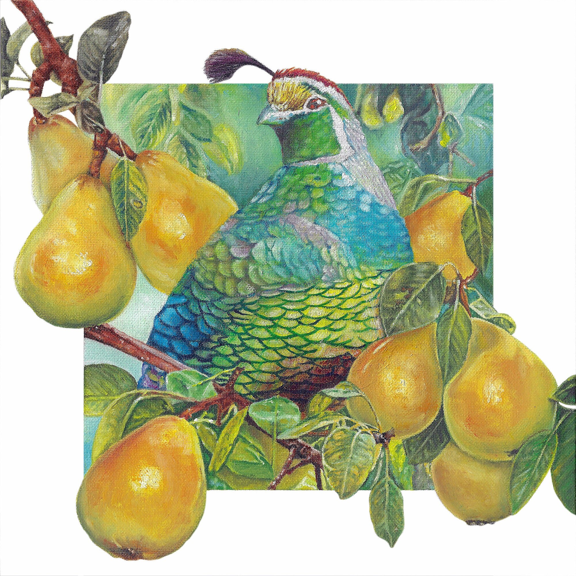 Partridge in a Pear Tree - Etsy