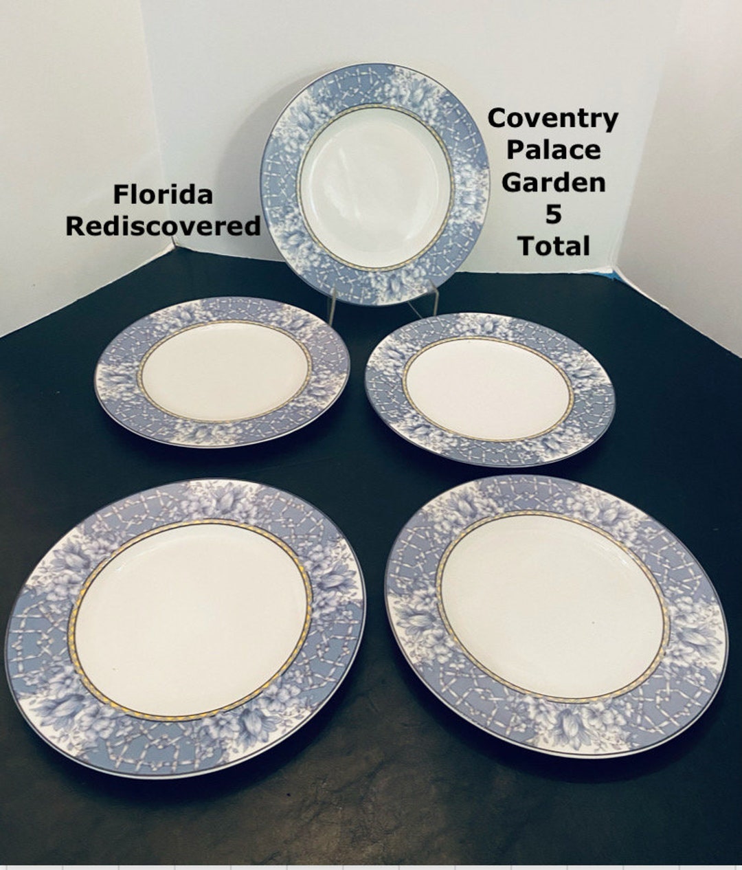 PALACE GARDEN COVENTRY Dinnerware Plates Set of 5 10 5/8 Blue/gray ...