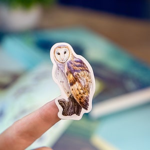 Barn Owl Vinyl Stickersheet Cute Woodland Stickers Ideal for Scrap ...