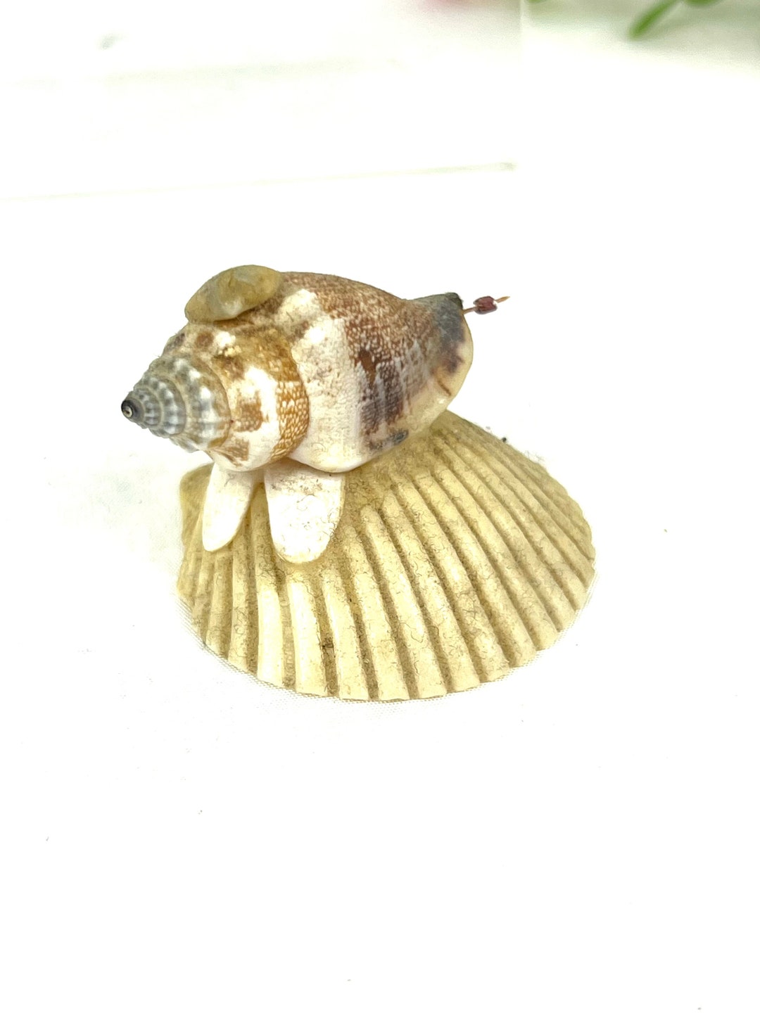 Vintage Seashell Figurine - Handmade - Dog Puppy Made Out of Seashells ...