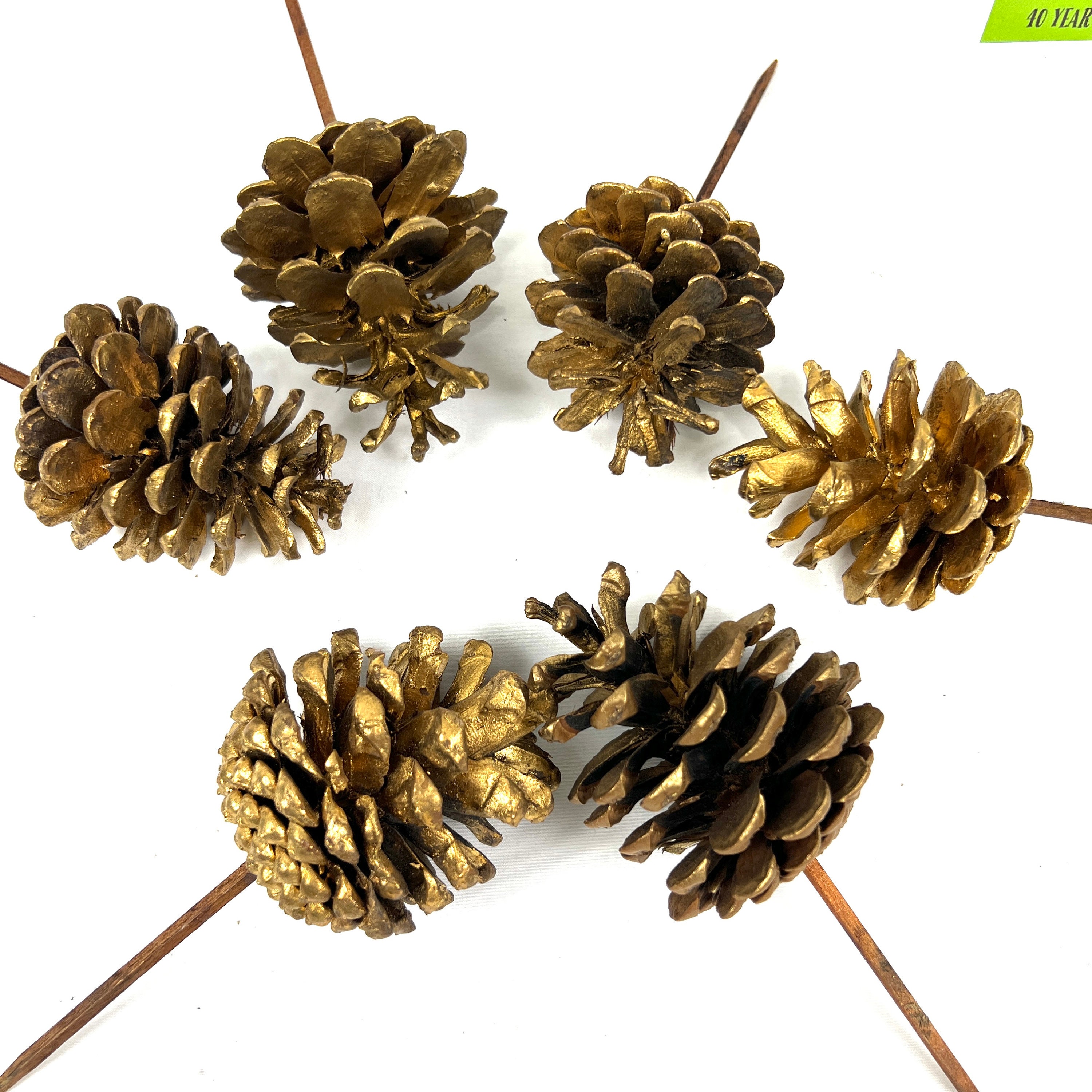 Vintage Set of Six Gold Brushed Pine Cone Picks Pine Cones on - Etsy