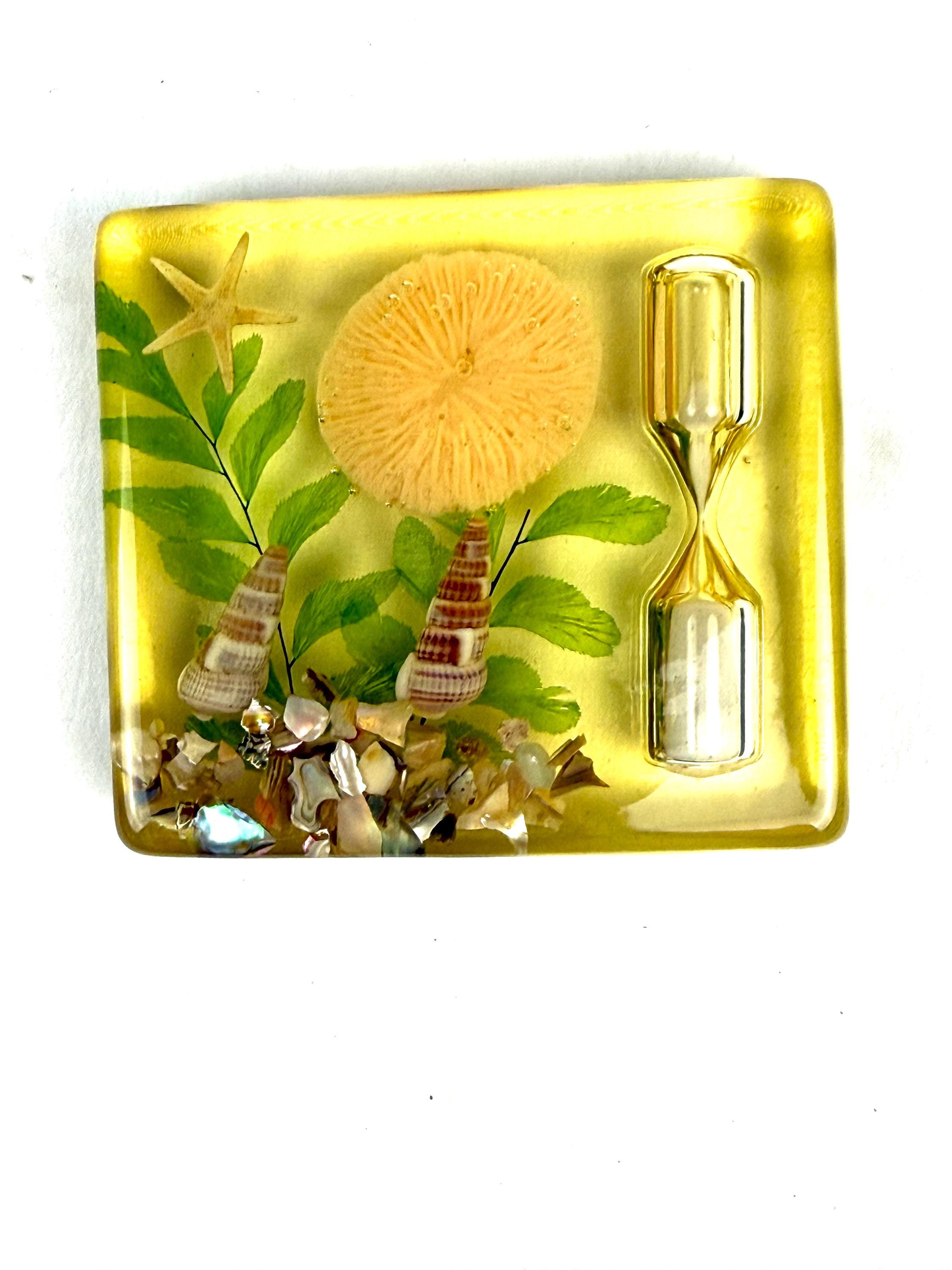 Vintage Resin Beach Paperweight With Seashells, Starfish, Fern ...