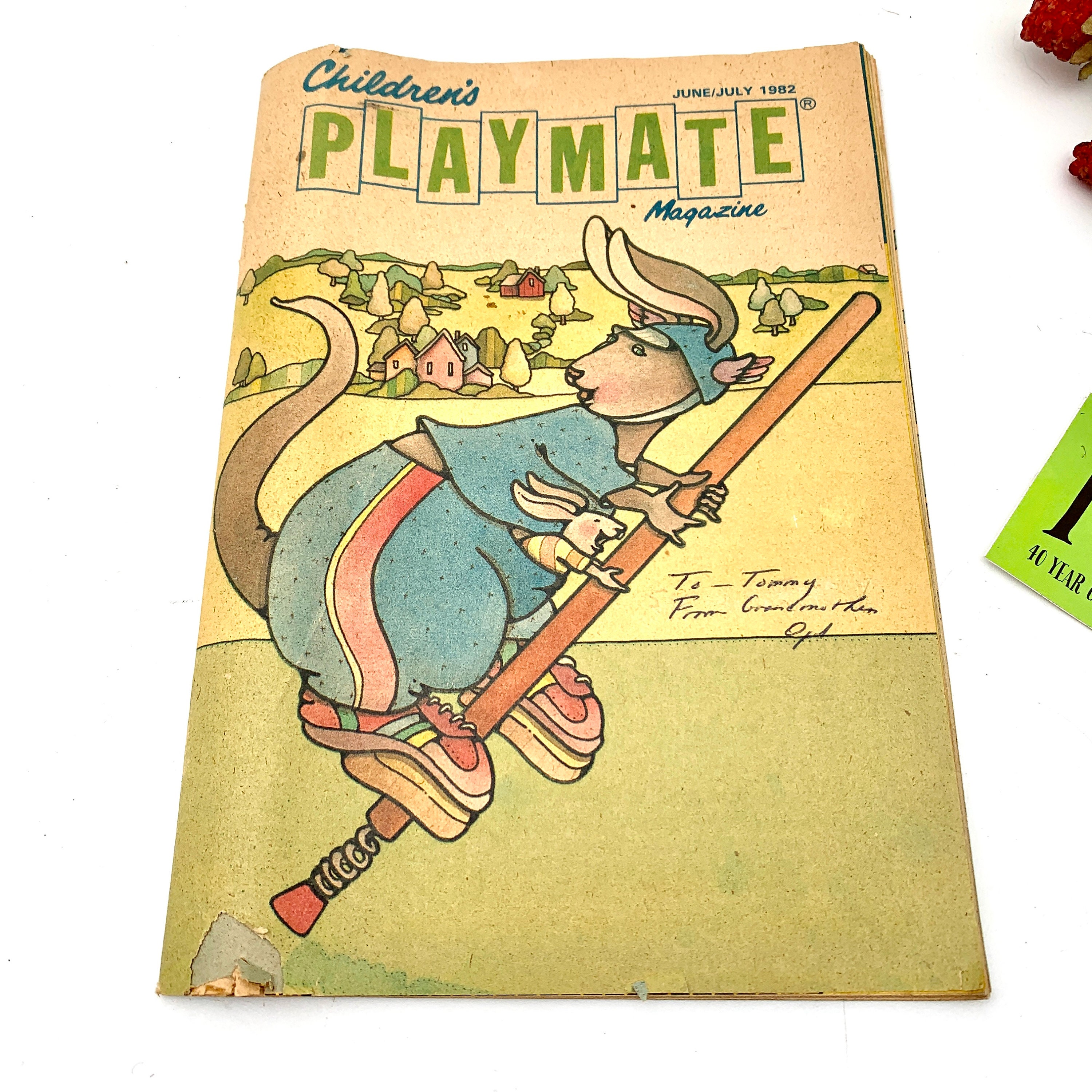 Vintage Children's Playmate Magazine June/July 1982 Fun | Etsy