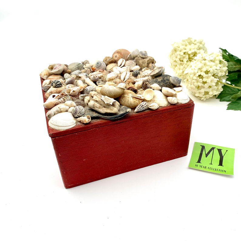 Vintage Handmade Seashell Trinket Box: Red Wooden Coastal Decor - Etsy
