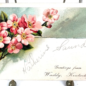 Antique German Postcard - Pink Flowers - Greetings From Waddy, KY ...
