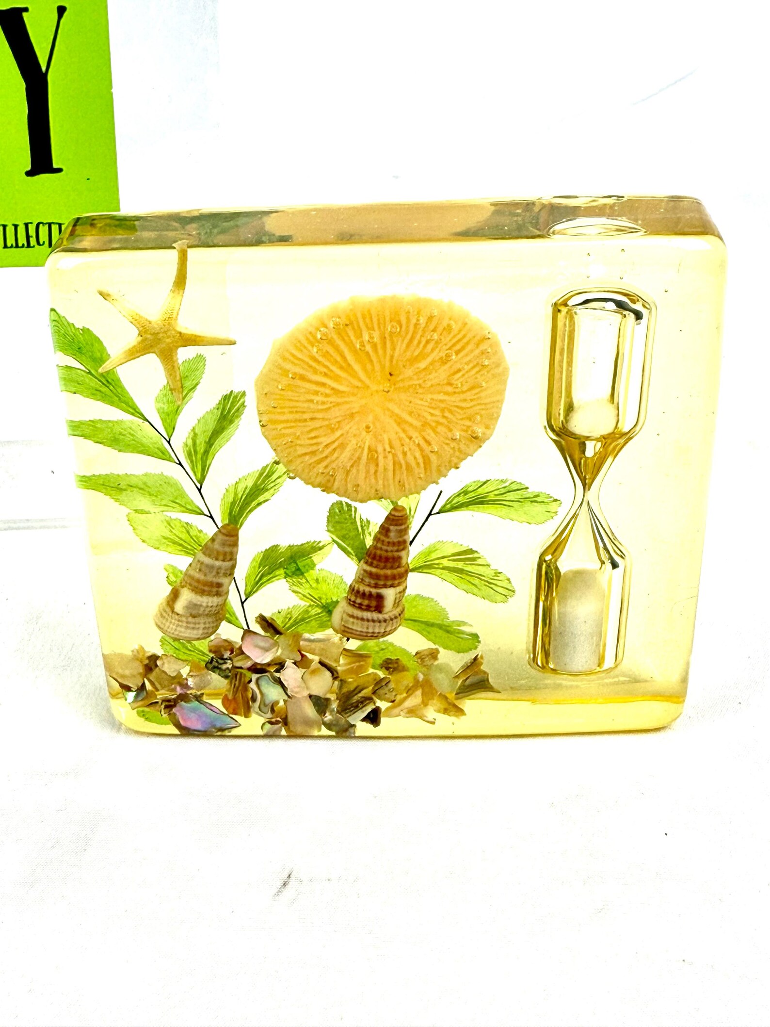 Vintage Resin Beach Paperweight With Seashells, Starfish, Fern ...