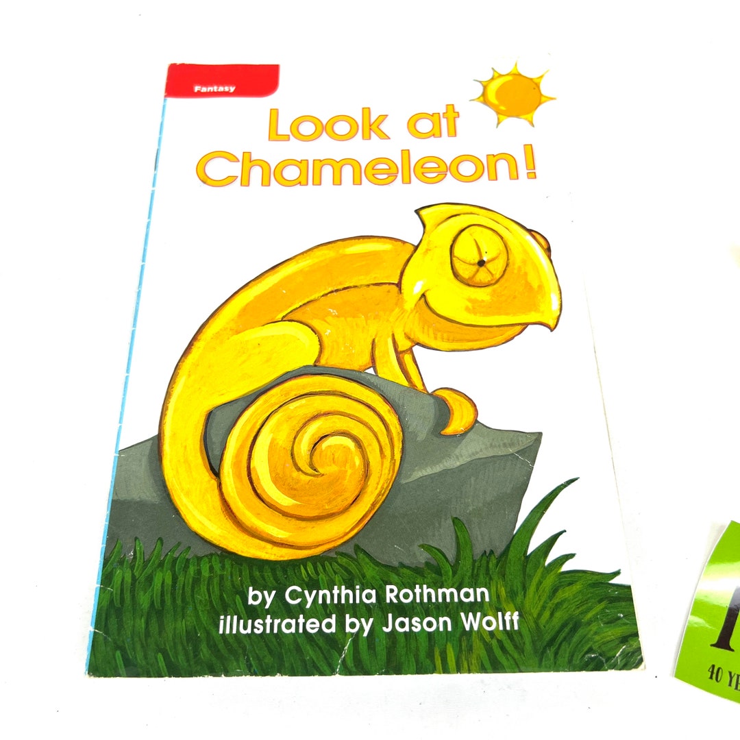 2003 Look at Chameleon Fantasy Booklet by Cynyhia Rothman Learning ...