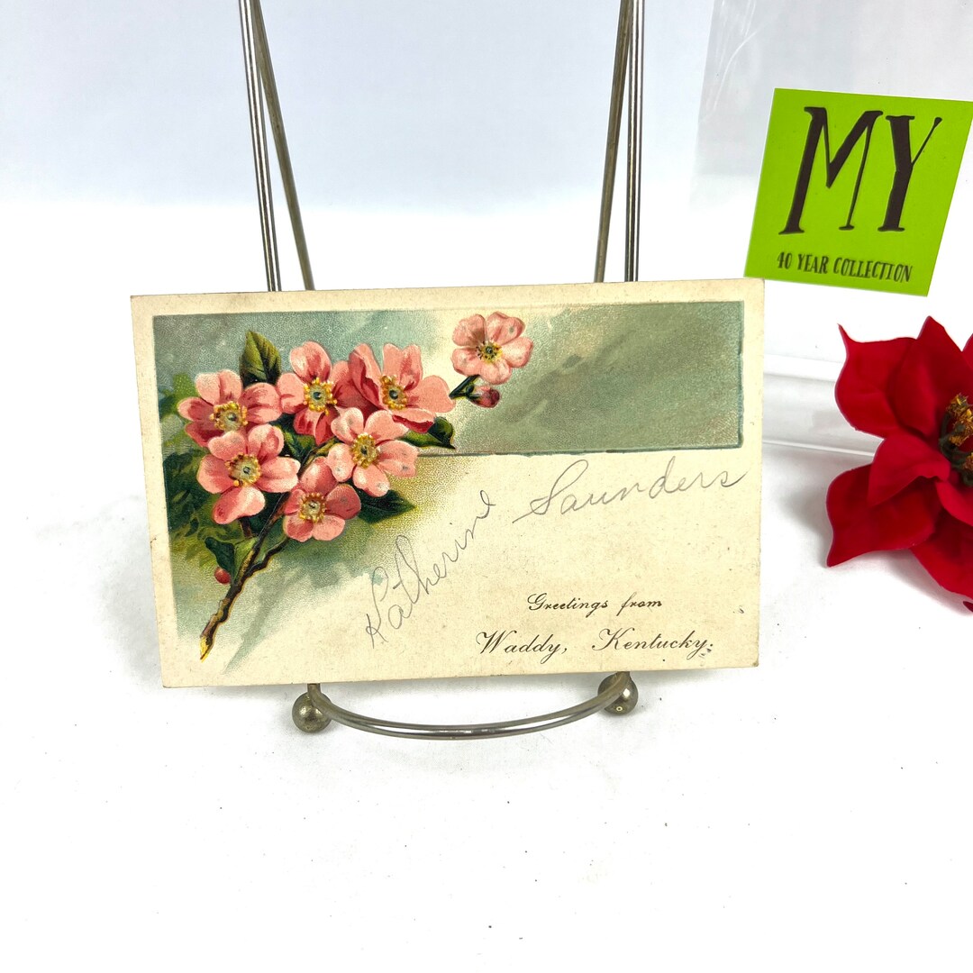 Antique German Postcard - Pink Flowers - Greetings From Waddy, KY- Posted 1907 - 1 Cent Benjamin ...