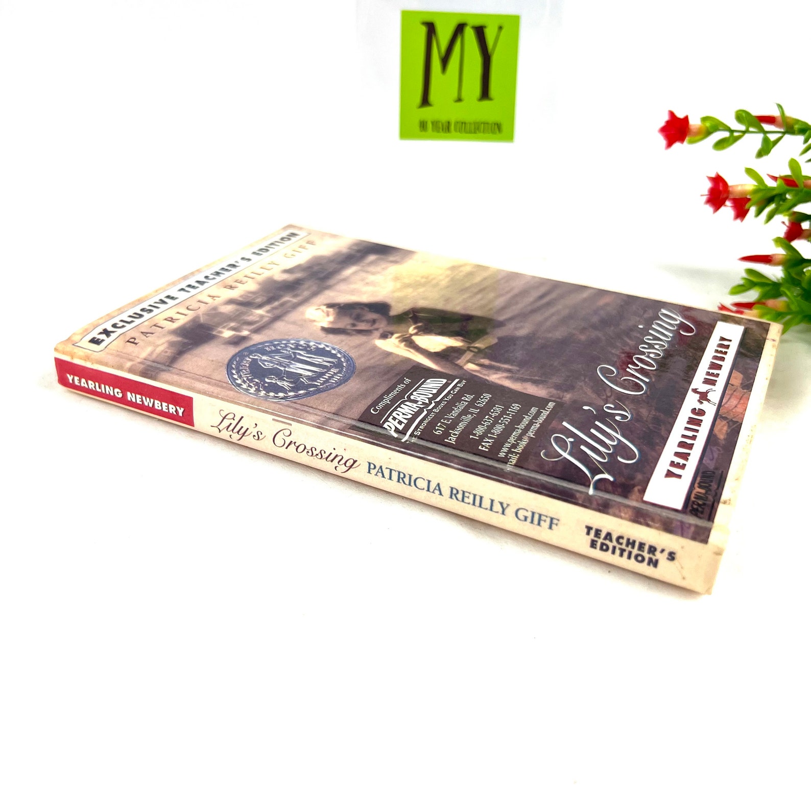 1999 Lily's Crossing - Exclusive Teacher's Edition - by Patricia Reilly ...