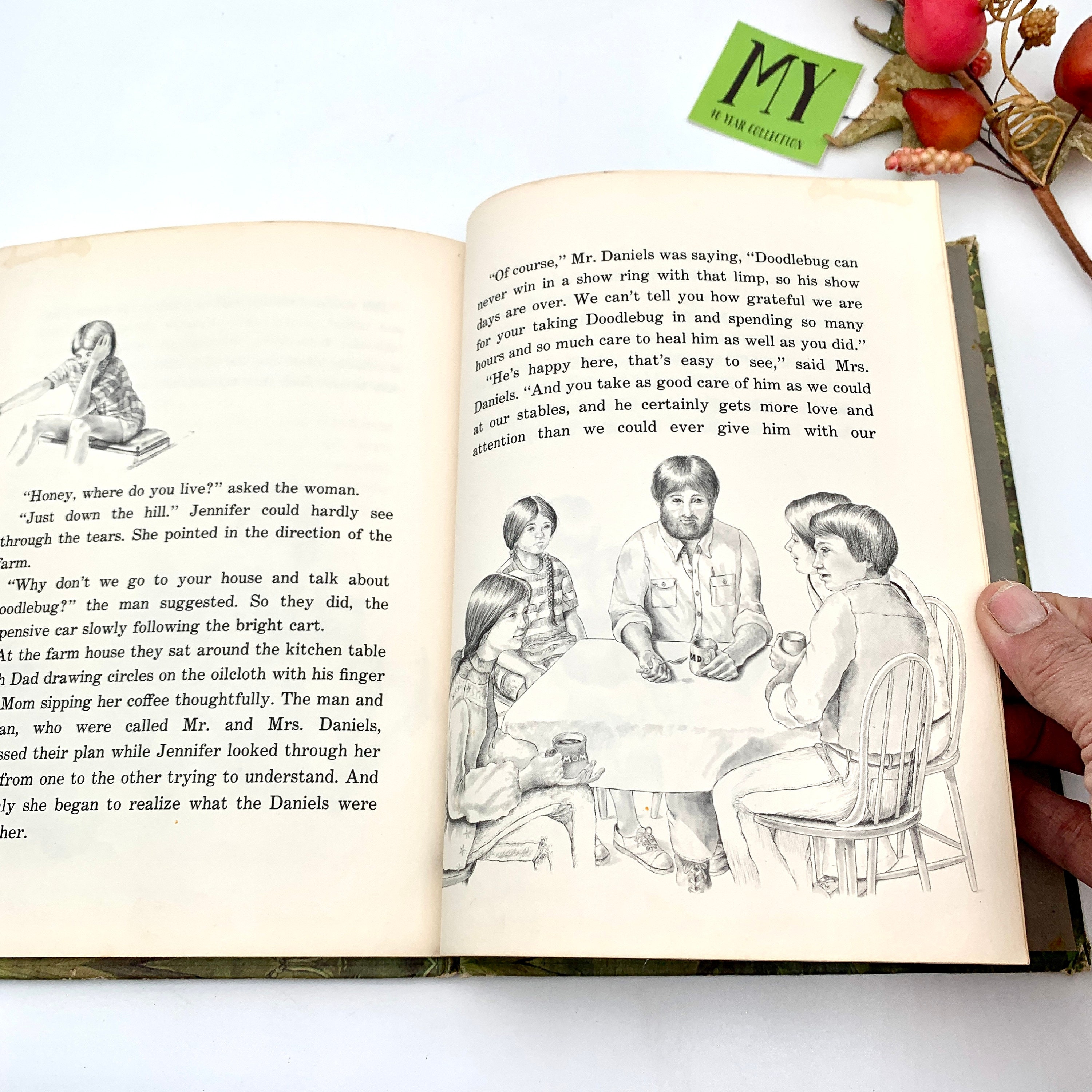 1977 Doodlebug Children's Vintage Book about a Horse Book | Etsy