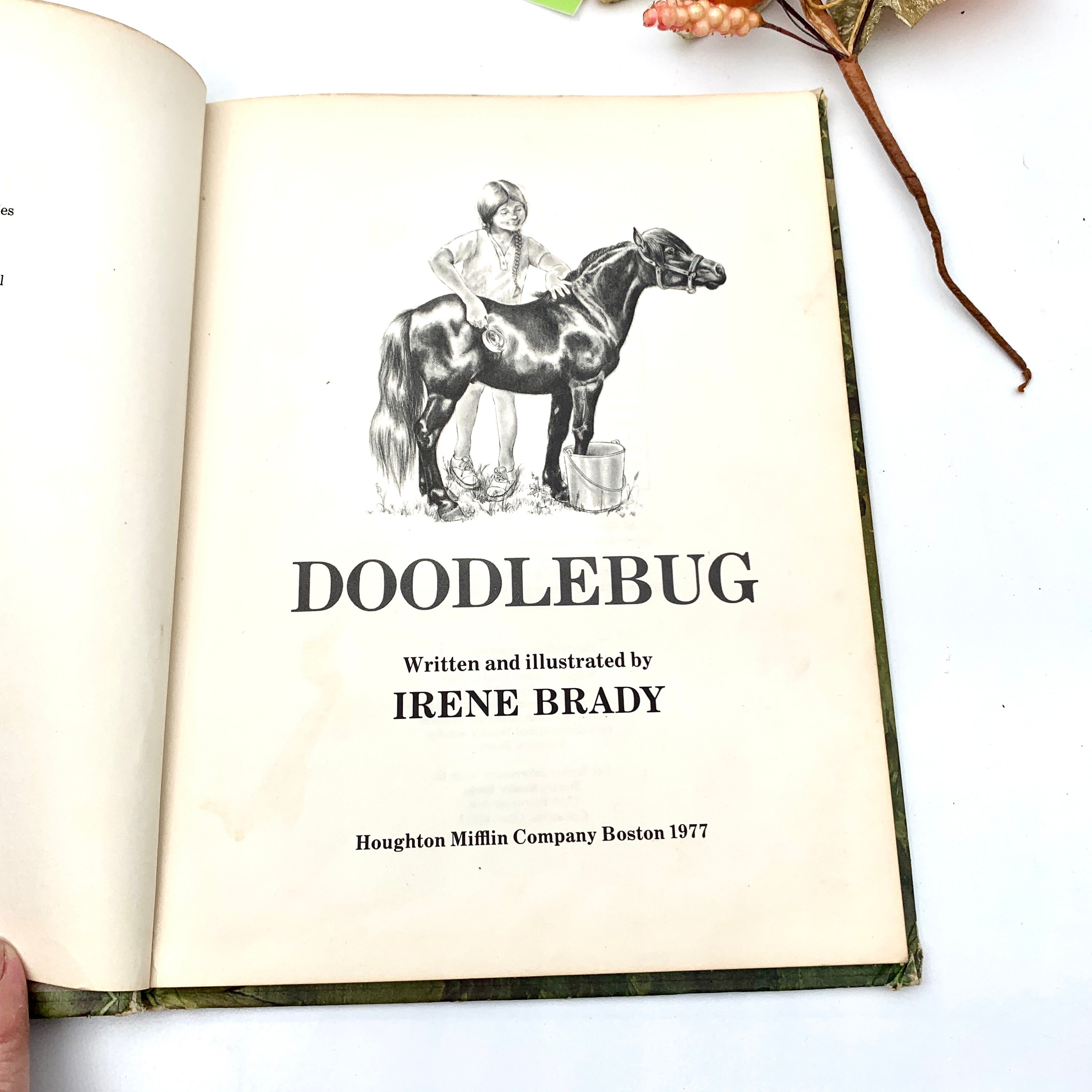 1977 Doodlebug Children's Vintage Book about a Horse Book | Etsy