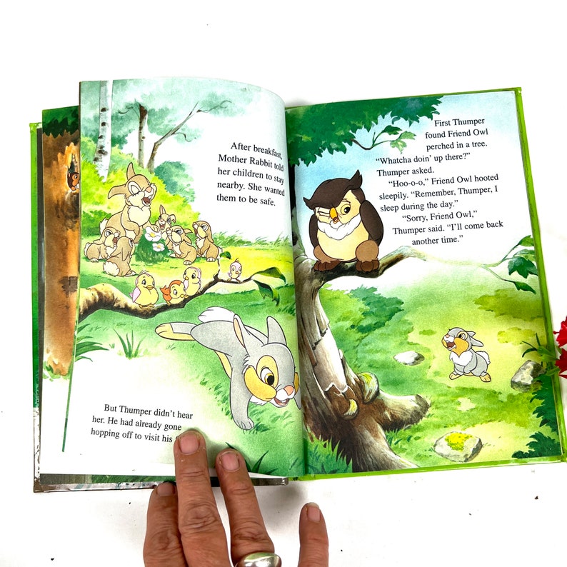 2003 Walt Disney's Thumper Scholastic Publishing Book Gift - Etsy